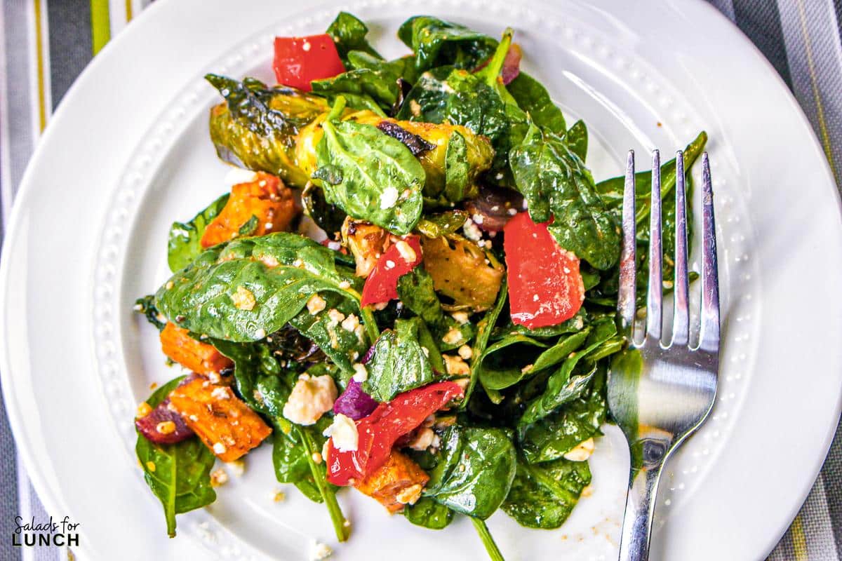 Easy Roasted Vegetable Salad Recipe • Salads for Lunch