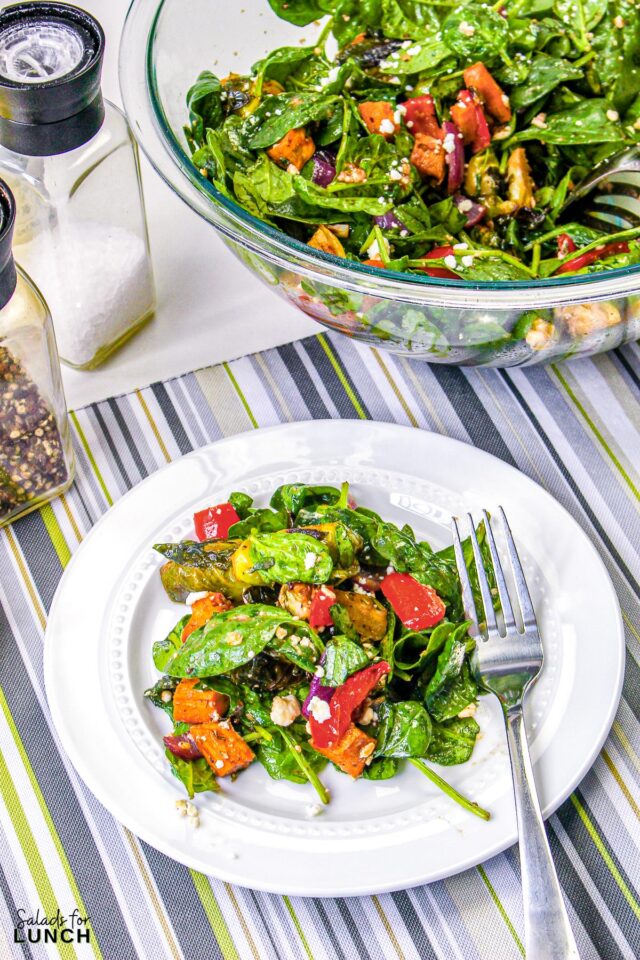 Easy Roasted Vegetable Salad Recipe » Salads for Lunch