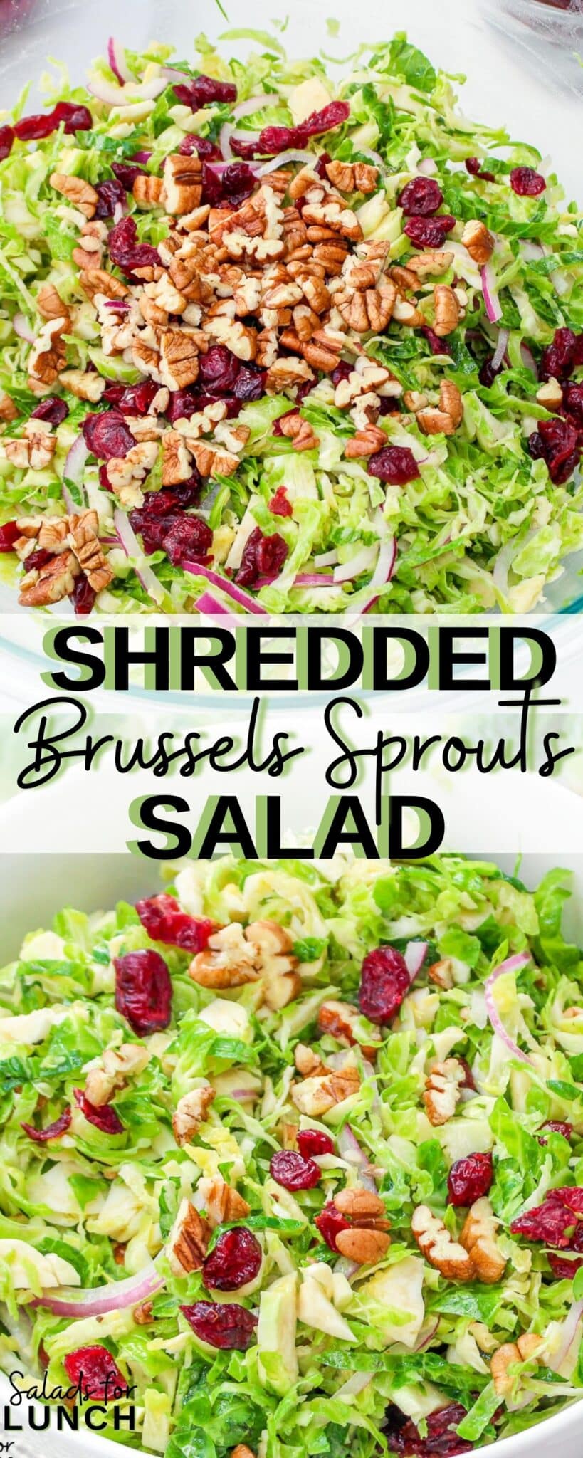 Easy Shredded Brussels Sprouts Salad » Salads for Lunch