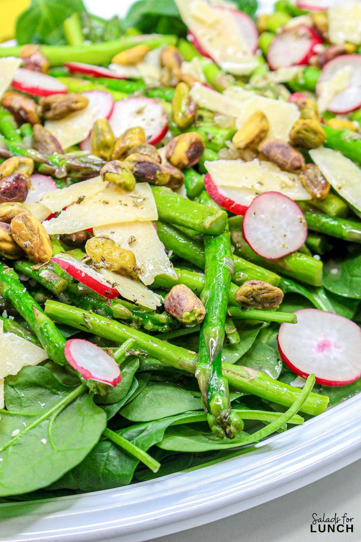Best Ever Spring Asparagus Salad Recipe with Radishes