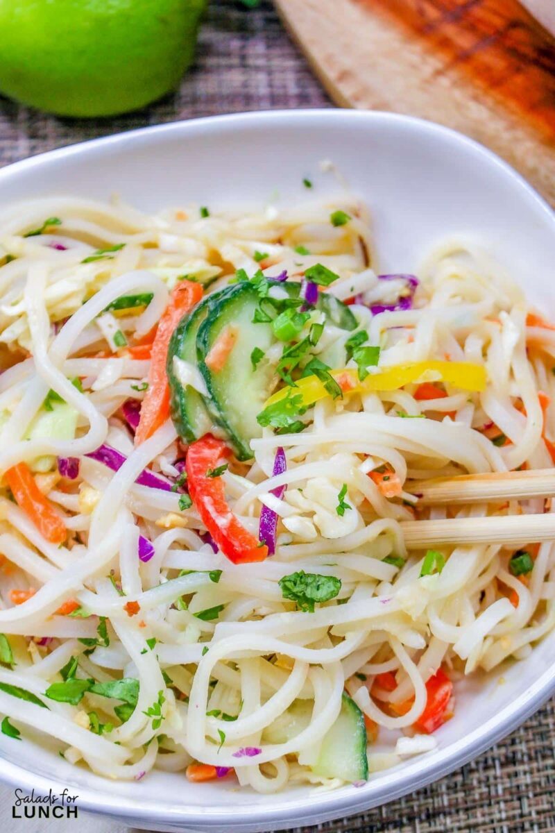 Delicious Vegan Thai Noodle Salad Recipe » Salads for Lunch
