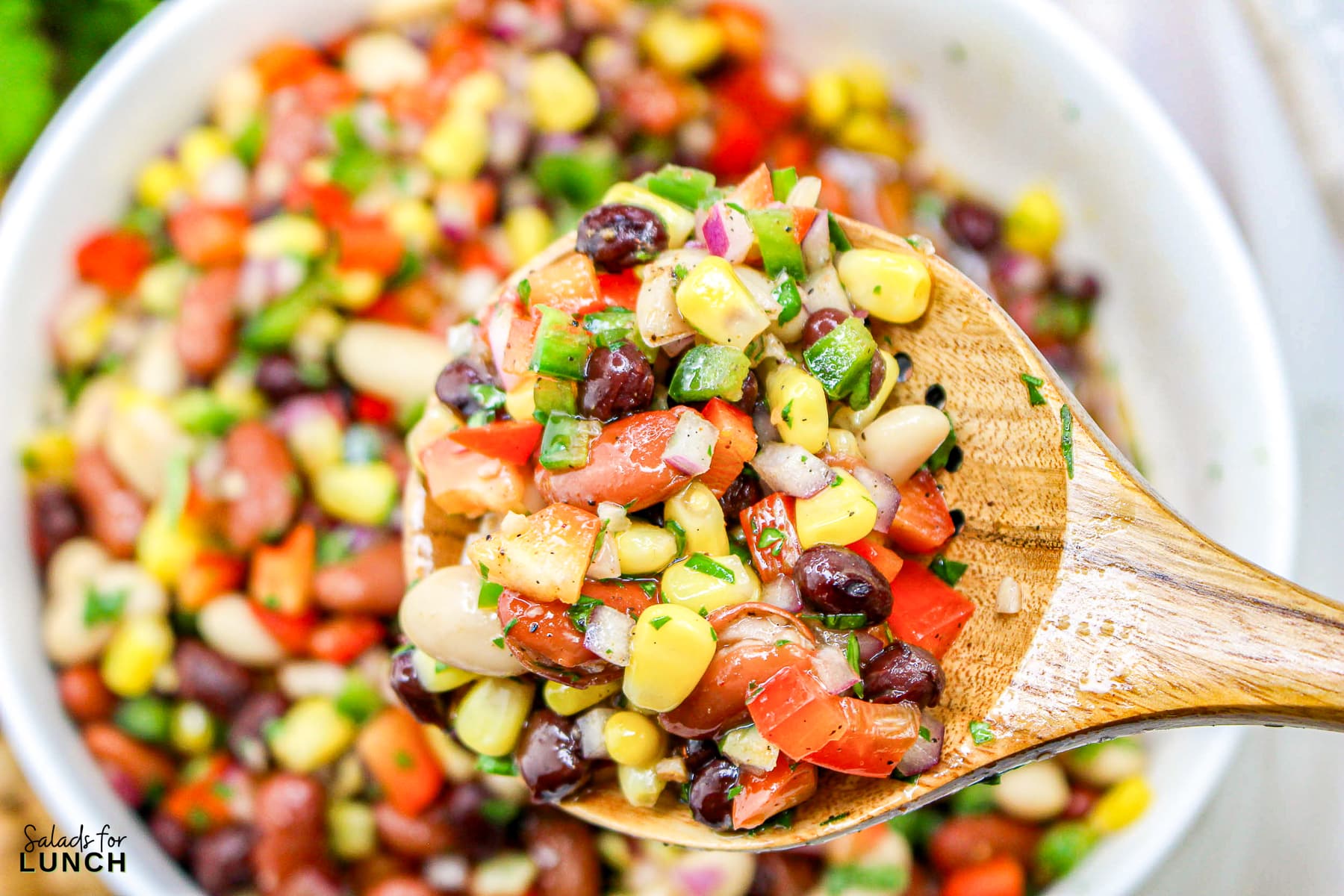 Heart Healthy Mexican Bean Salad » Salads for Lunch