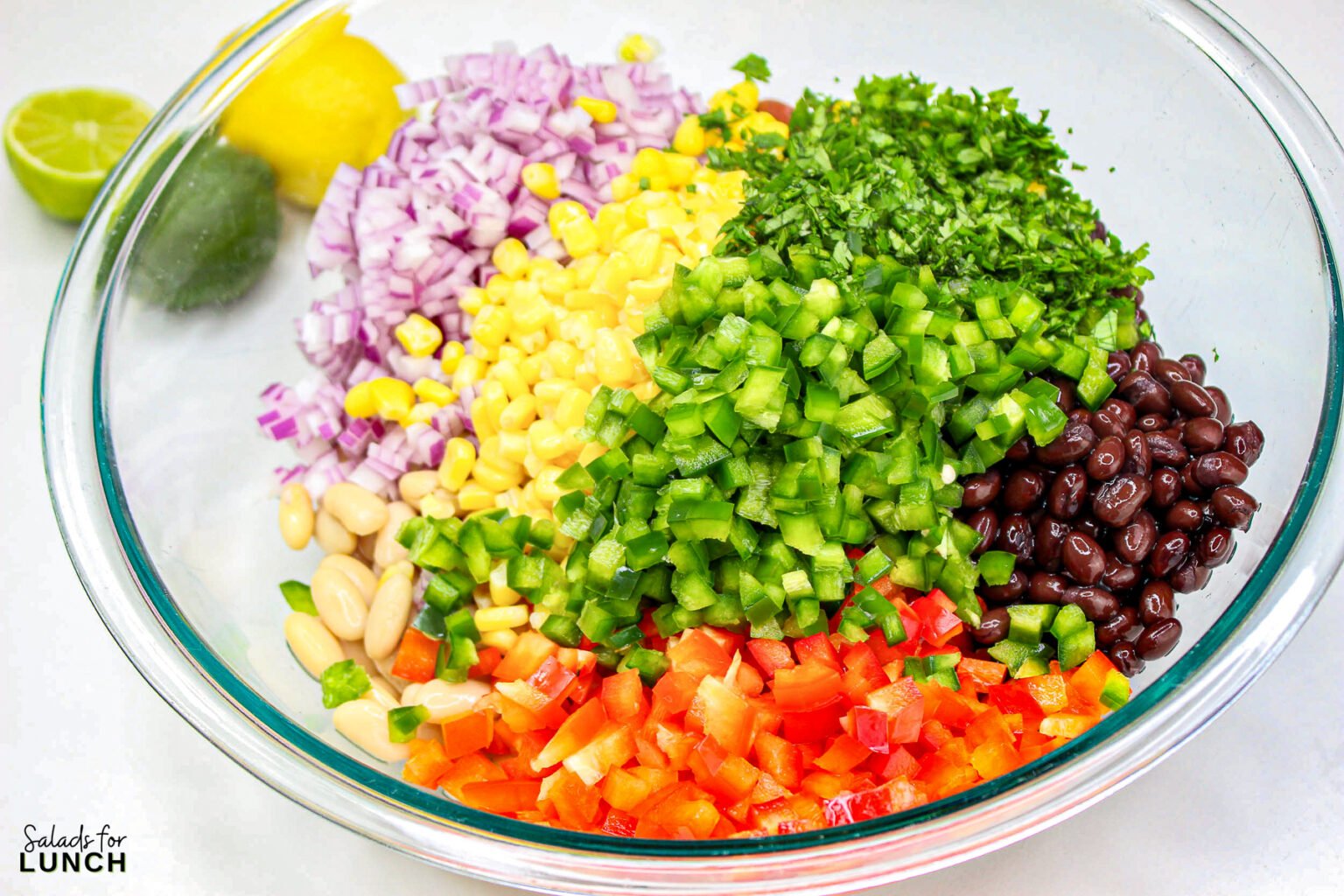 Heart Healthy Mexican Bean Salad » Salads for Lunch