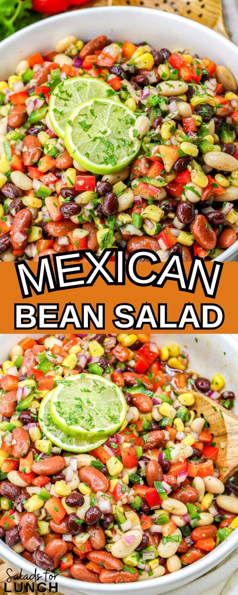Heart Healthy Mexican Bean Salad » Salads for Lunch