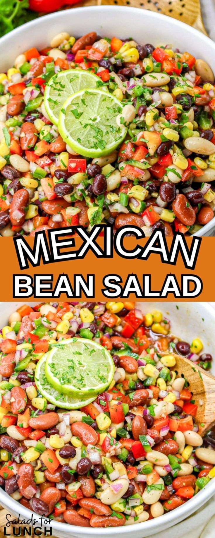 Heart Healthy Mexican Bean Salad » Salads for Lunch