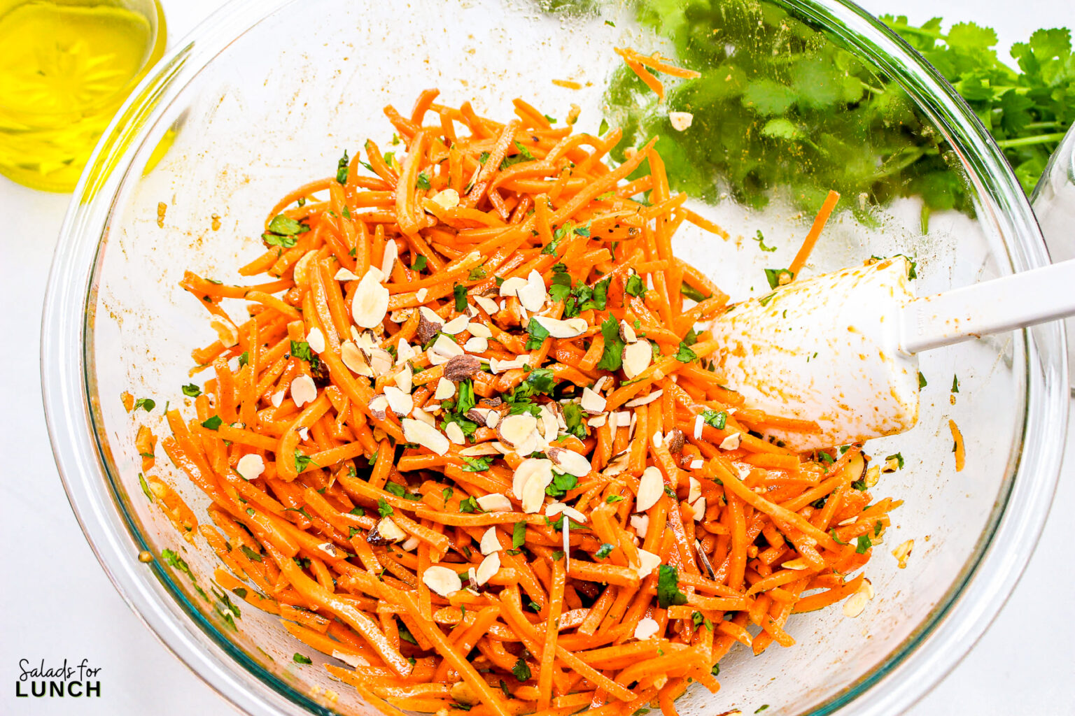 Exotic Vegan Moroccan Carrot Salad » Salads for Lunch