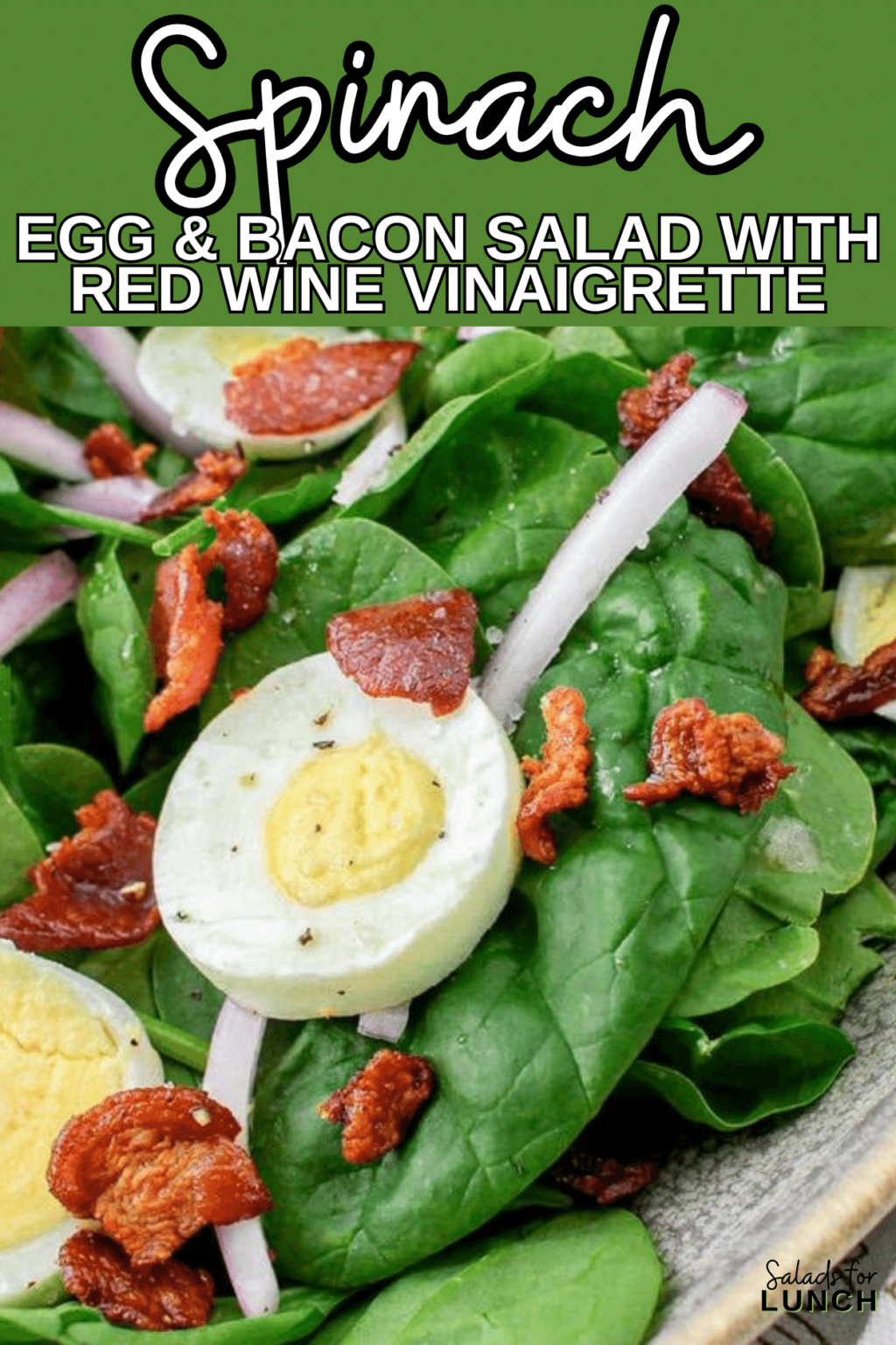 Delicious Spinach, Egg and Bacon Salad with Red Wine Vinegar Dressing