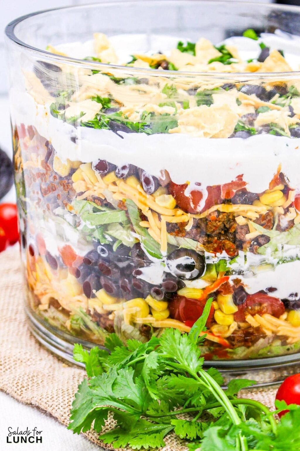 Seven Layer Taco Salad by Salads for Lunch