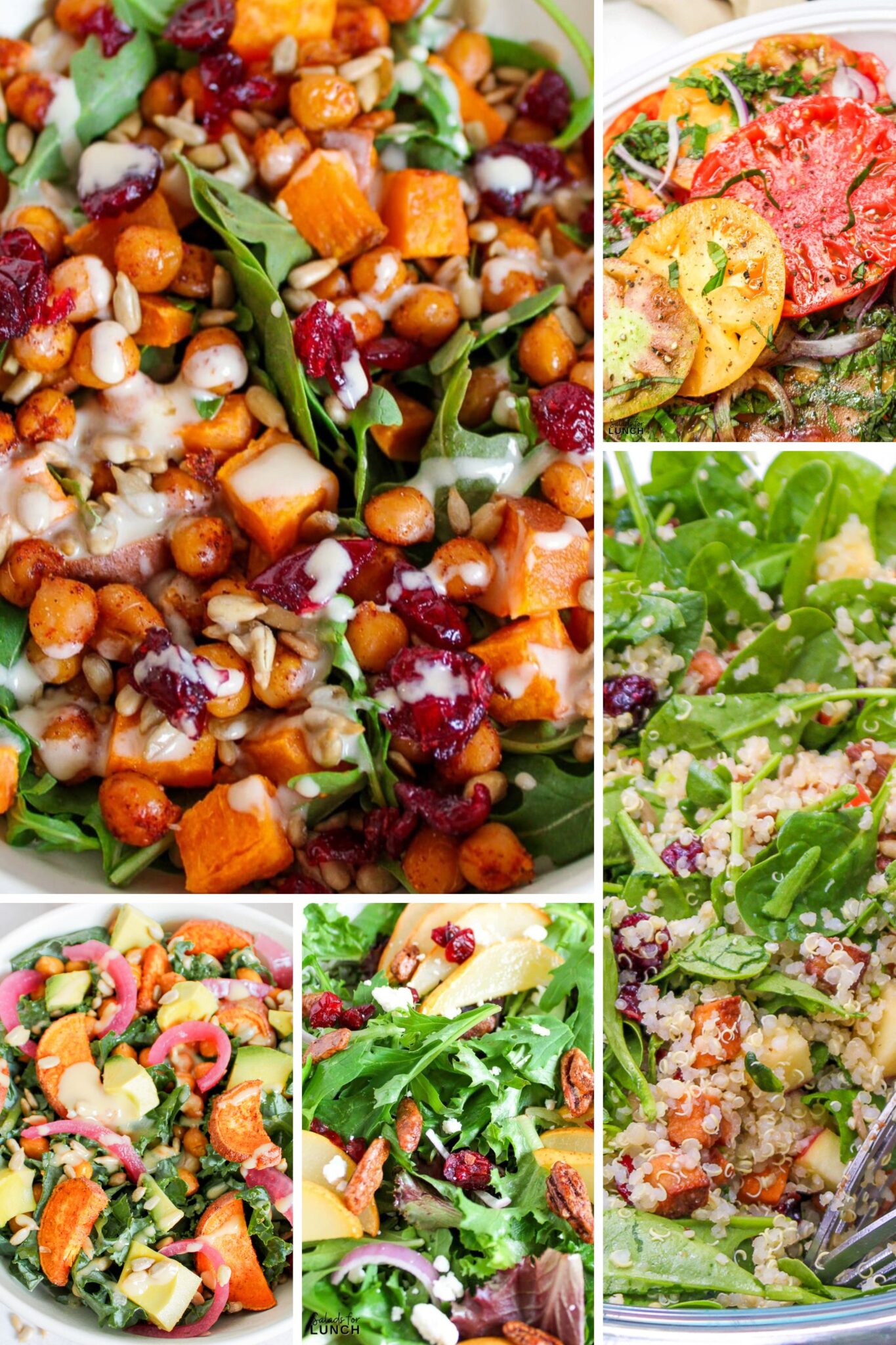 27 Best Salads to Make in October for a Healthy Lunch