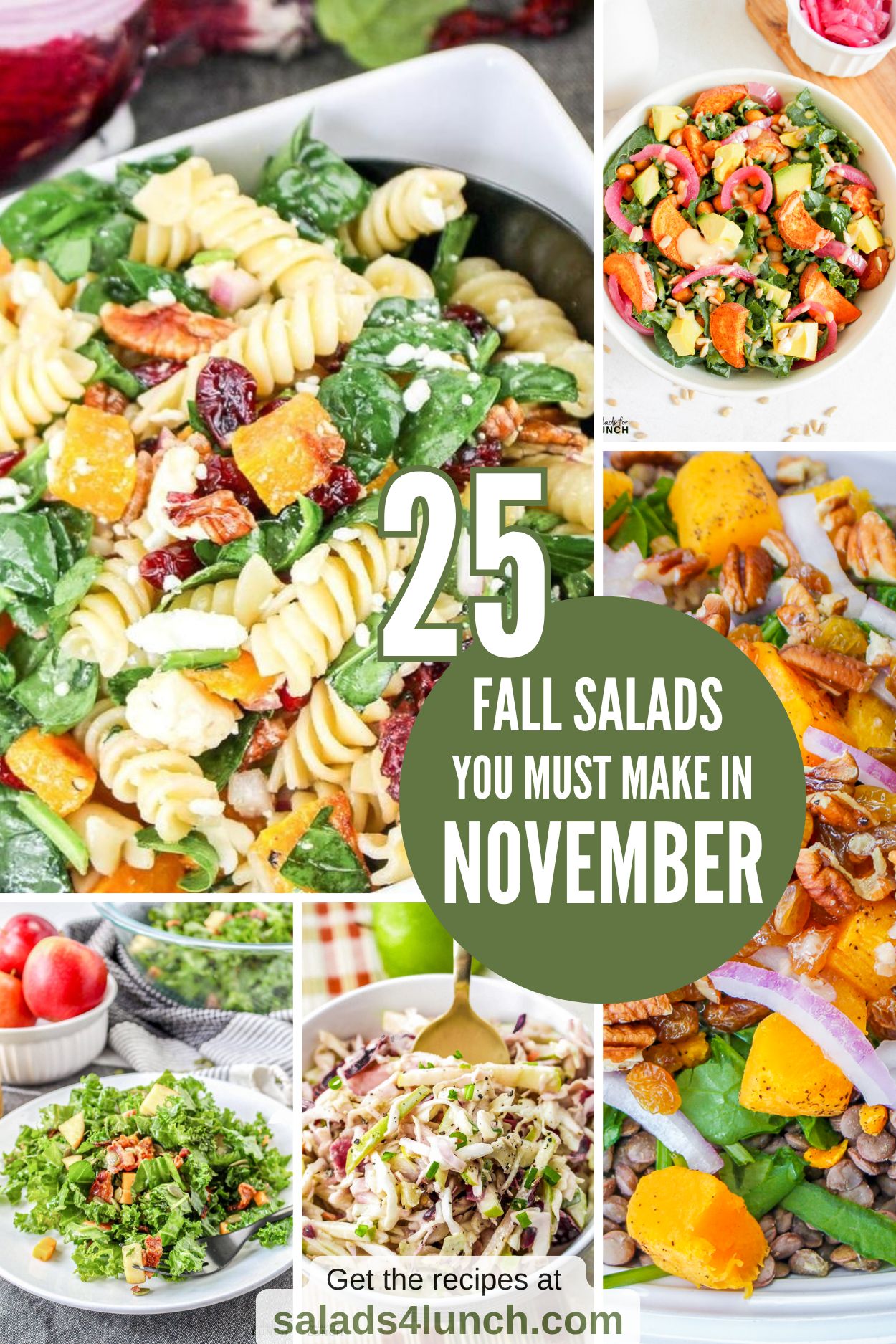 25 Best Salads to Make in November for Lunch