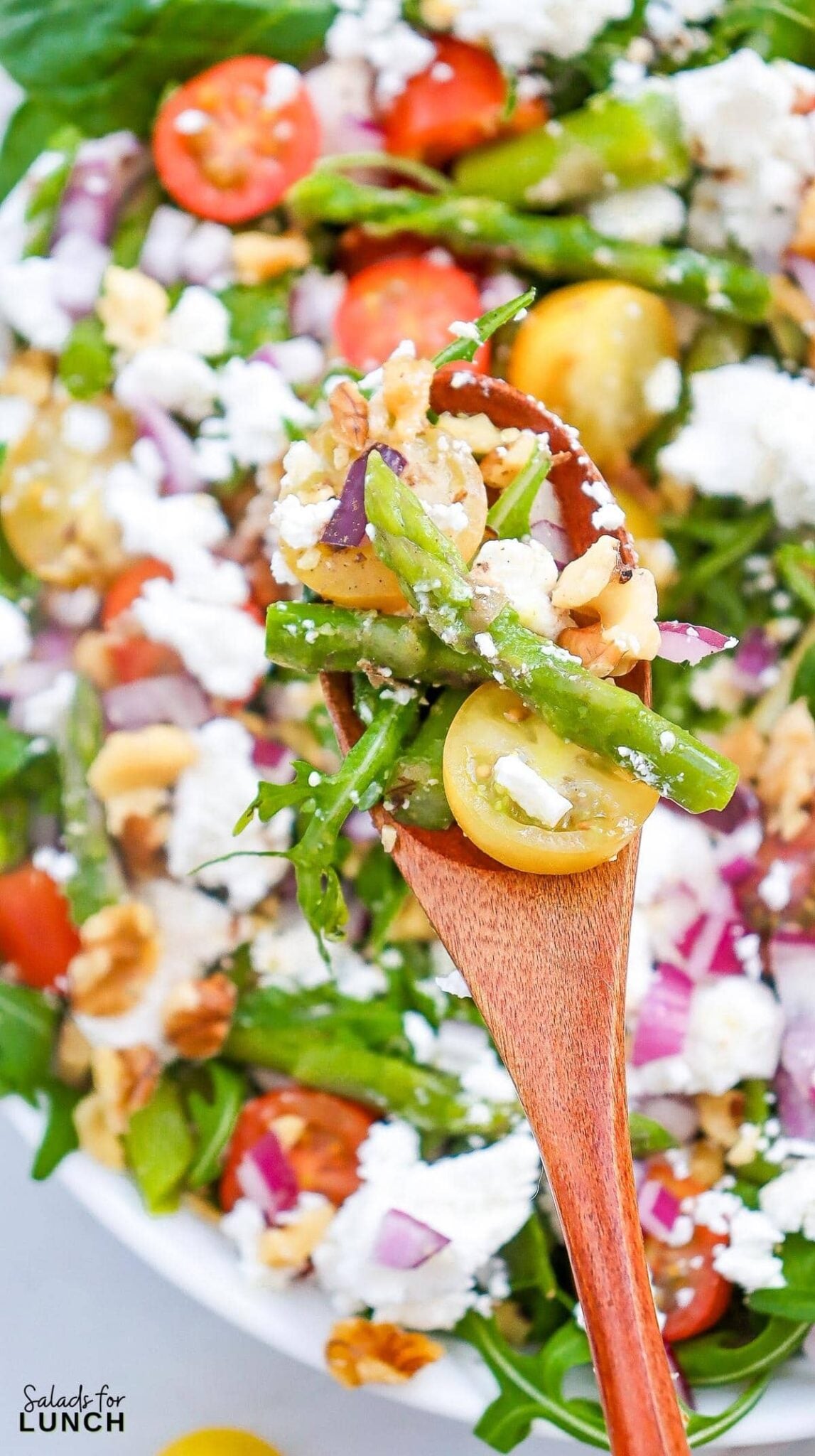 Spring Asparagus and Goat Cheese Salad » Salads for Lunch