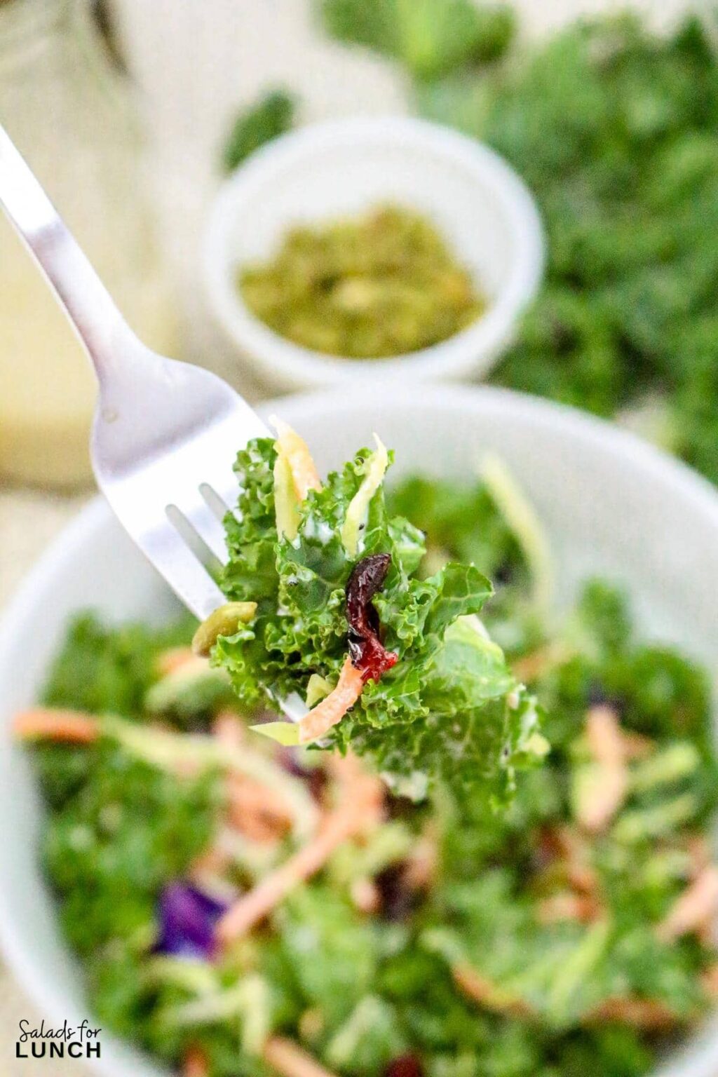 Sweet Kale Salad with Poppy Seed Dressing » Salads for Lunch