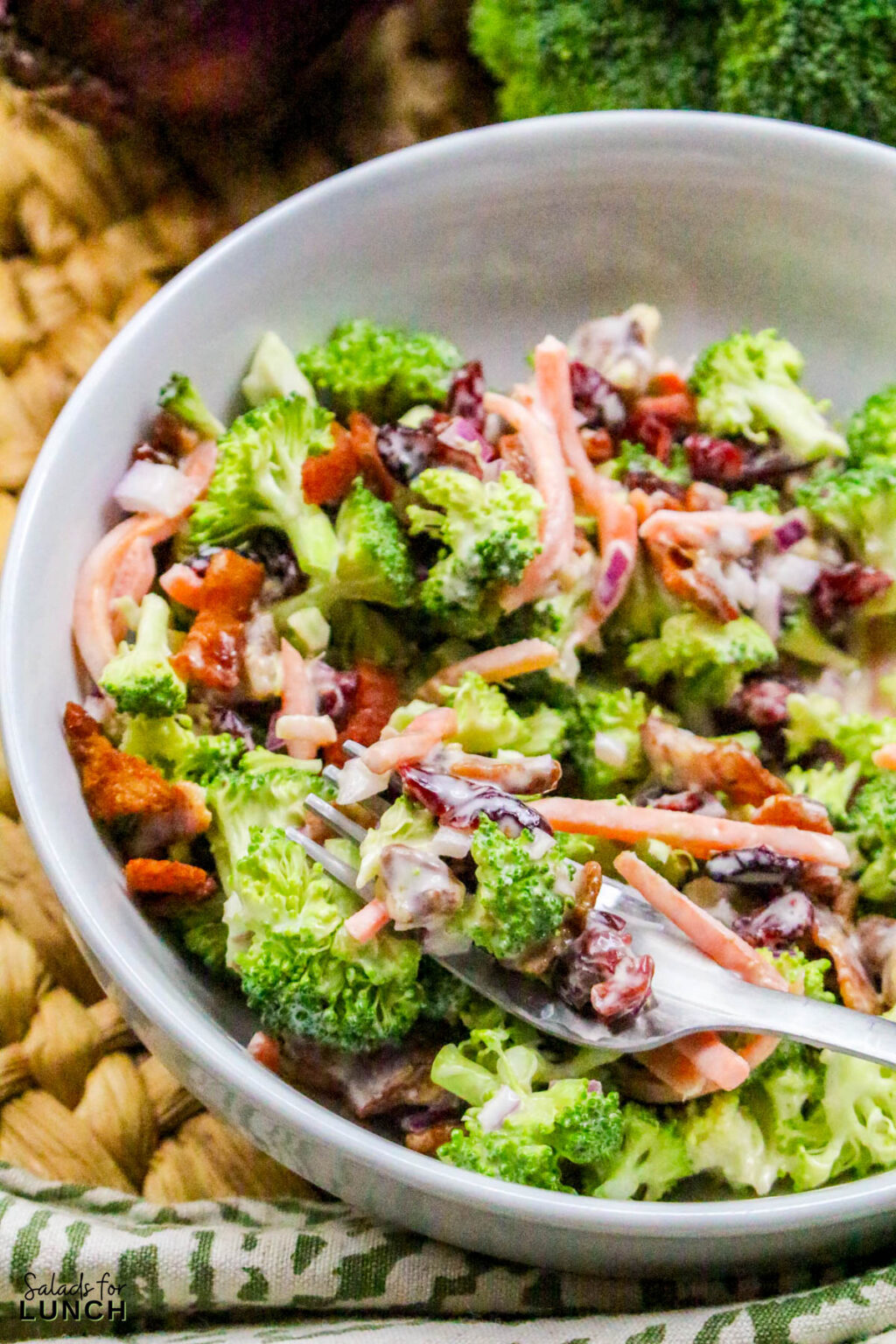 Salads for Lunch • A salad blog with healthy salad recipe ideas