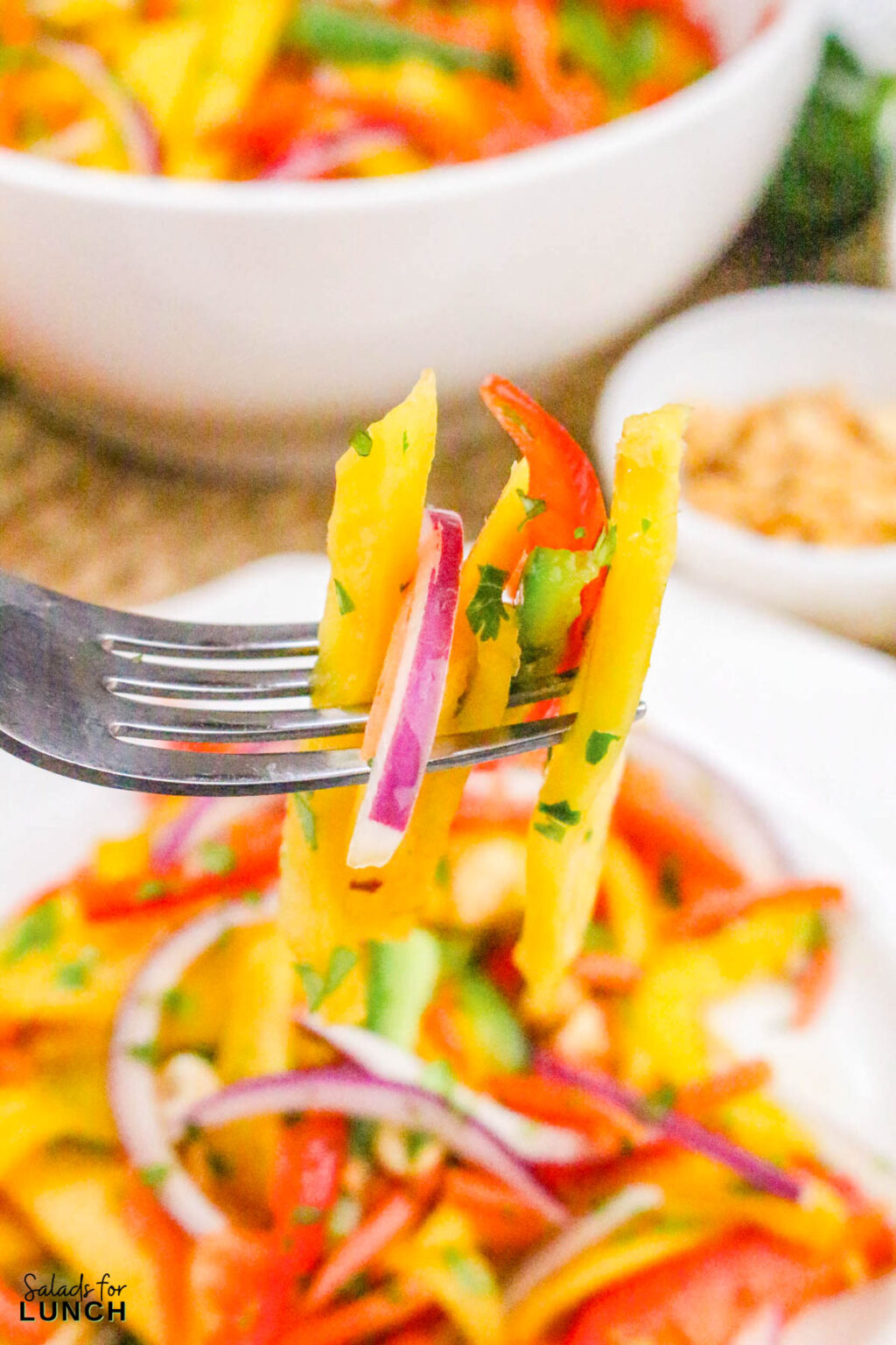 Spicy Mango Salad » Salads for Lunch